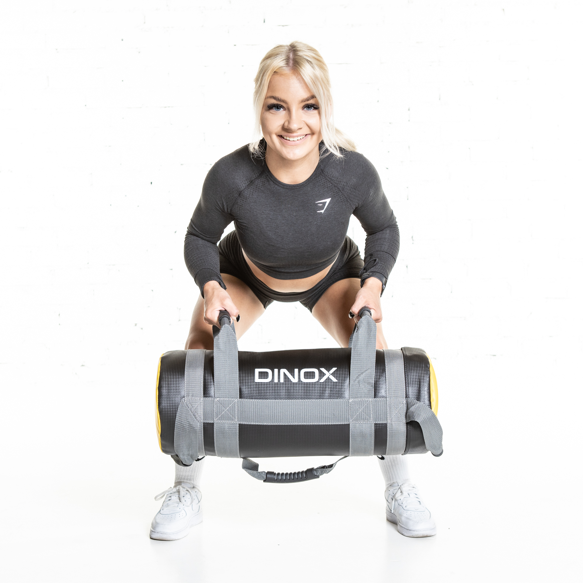 Powerbag Dinox 5-20kg