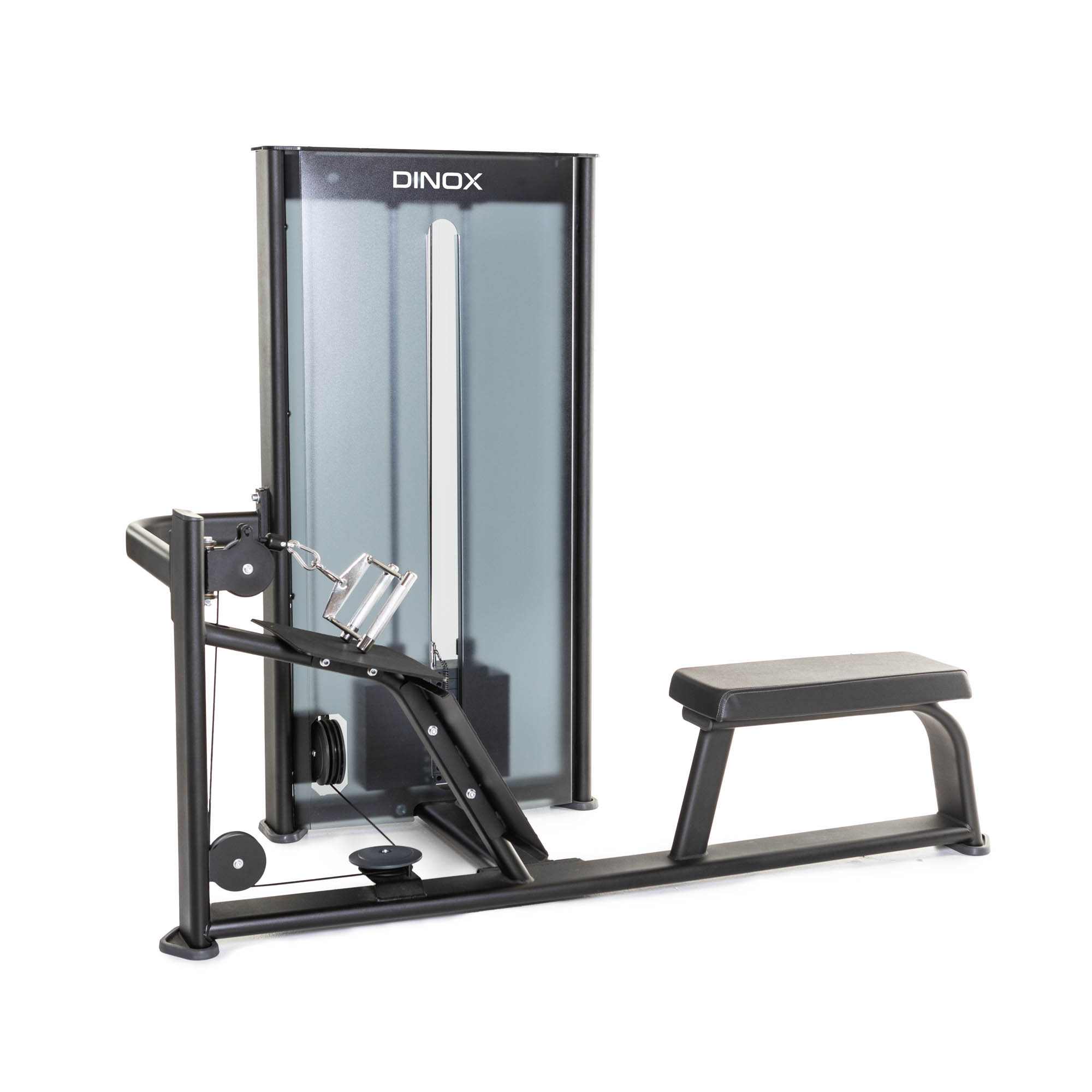 Alatalja Dinox, Painopakalla