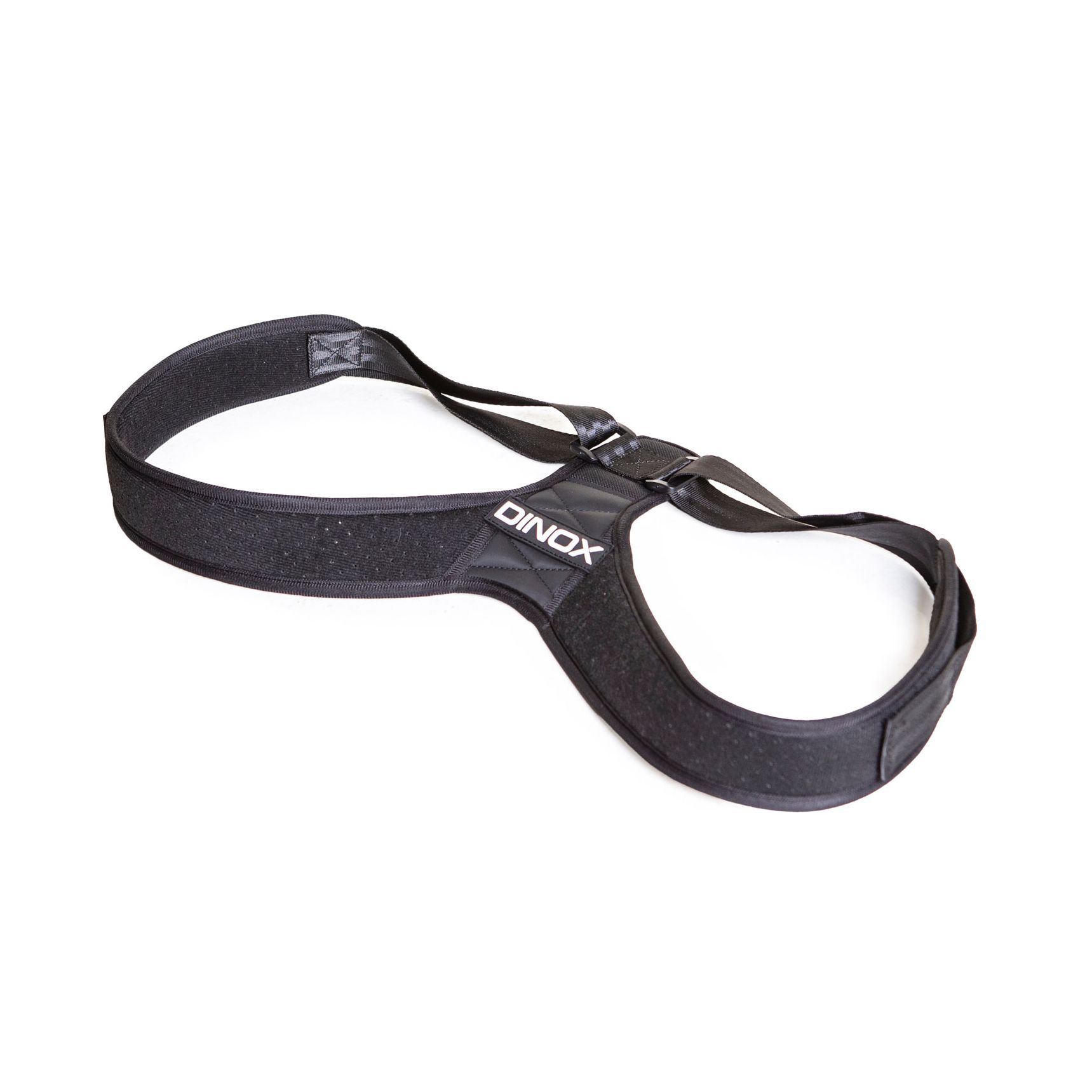 Ryhtiremmi Dinox, S/M