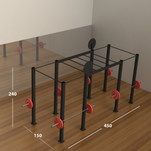 Treeniteline, Dinox Gym Rack