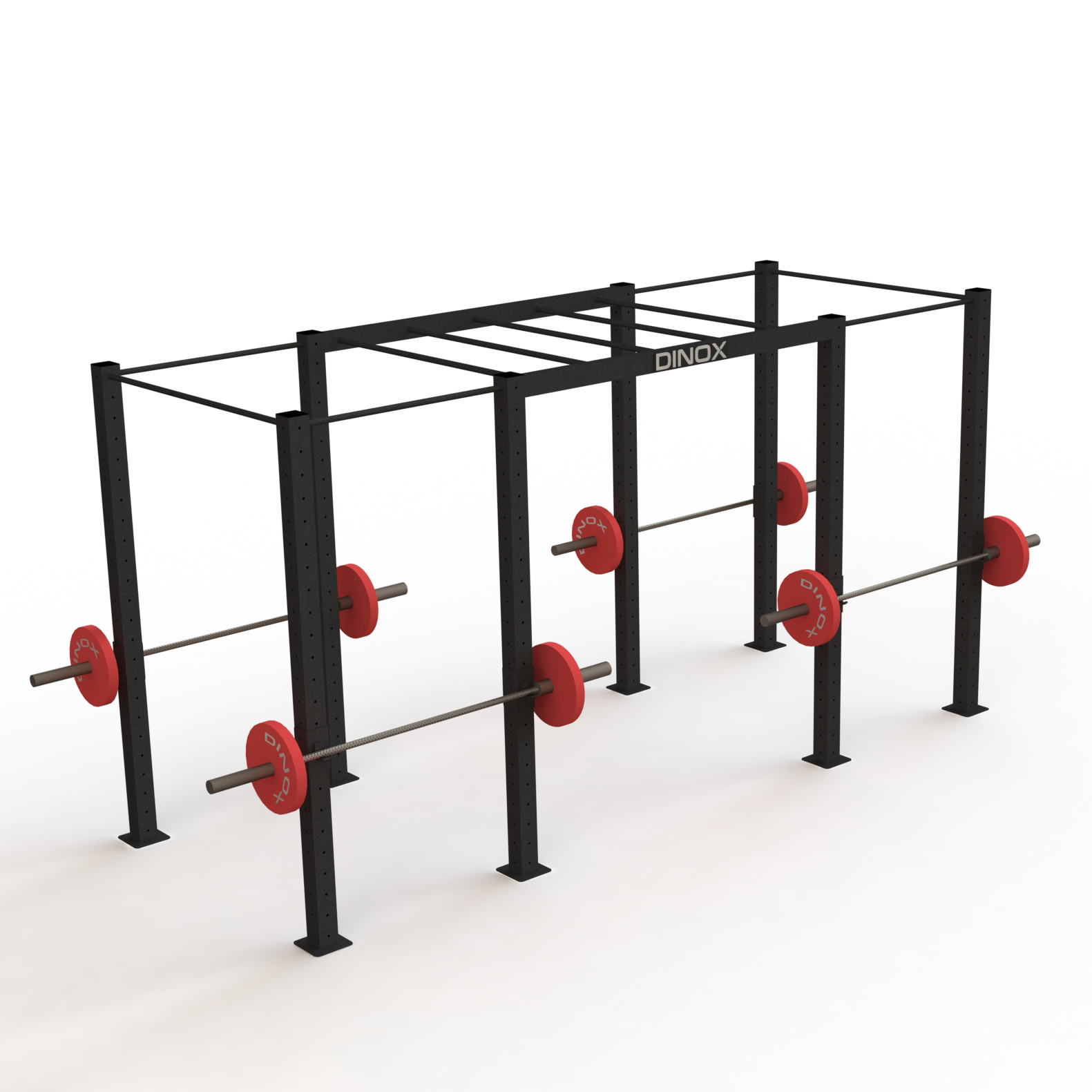 Treeniteline Dinox Gym Rack